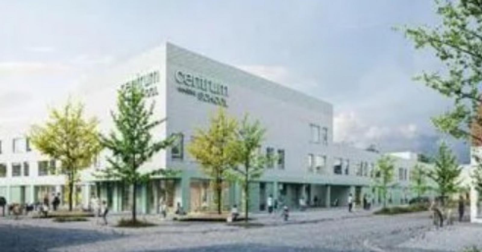 N-VA Respect Burgerbelangen en Petra Persyn zetten politieke ...