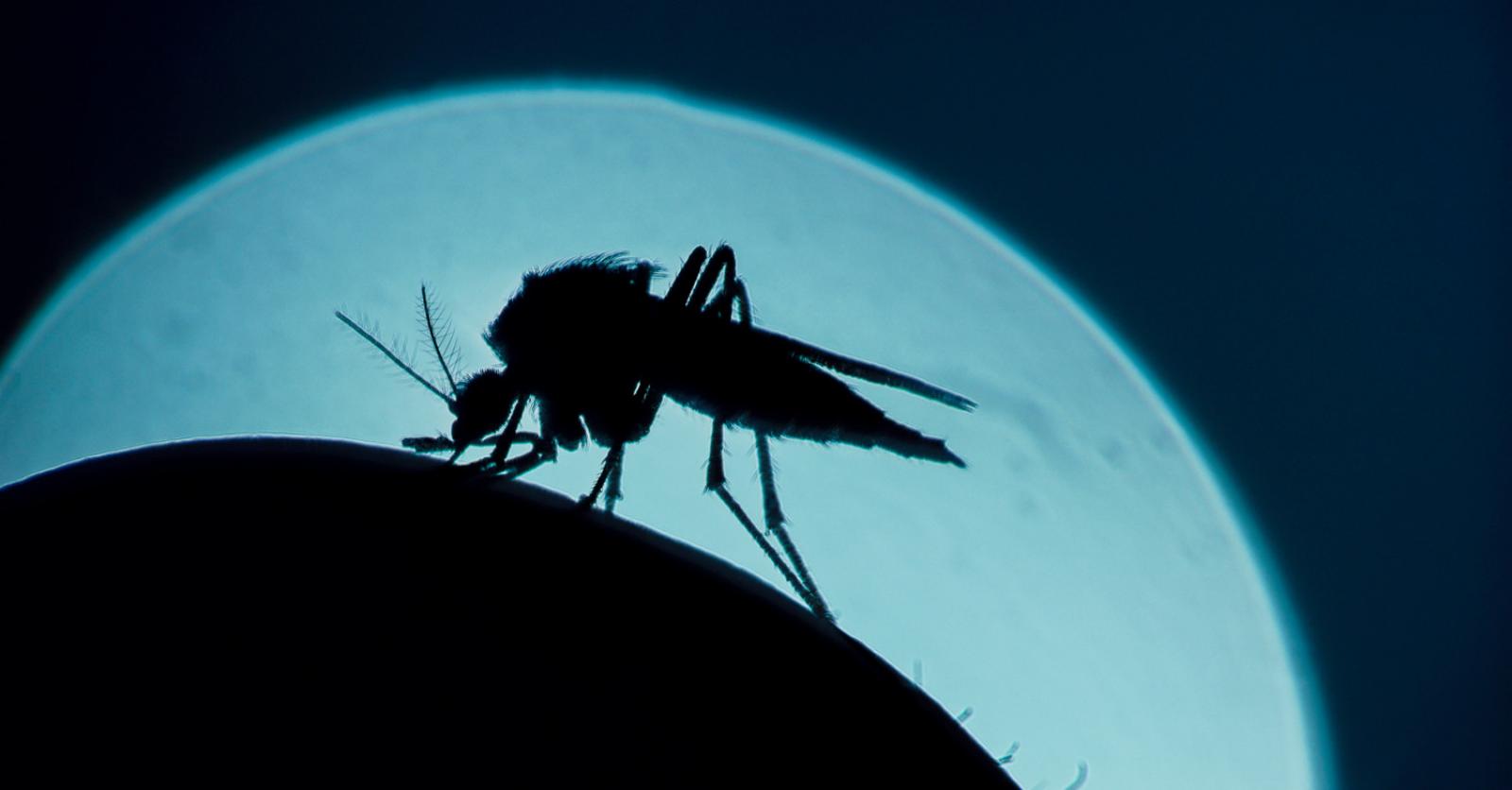 Ce microscope piloté par l’IA détecte la malaria cent fois plus vite ...