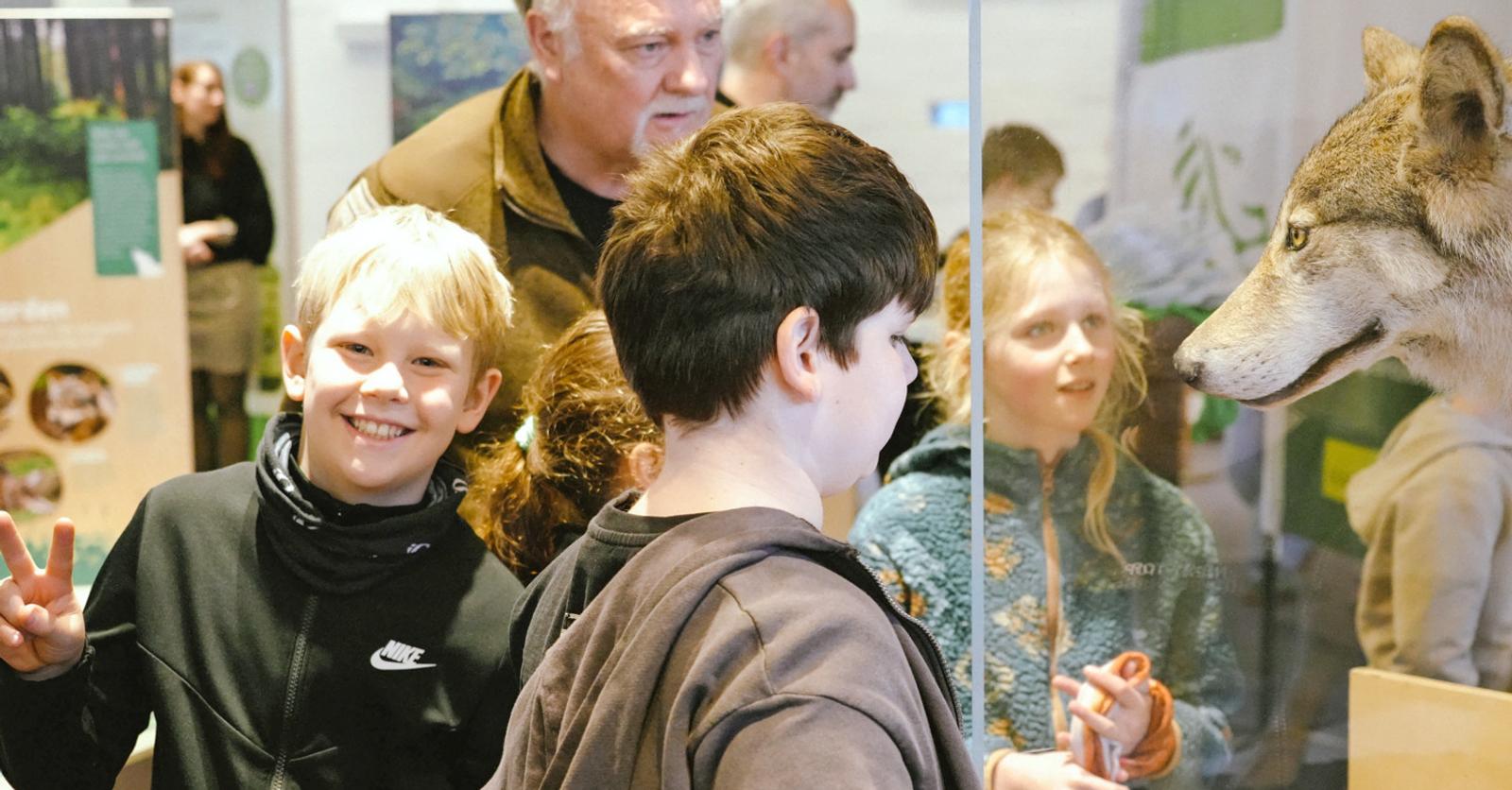 Van wolven tot windmolens. Pik eens een gratis tentoonstelling mee…