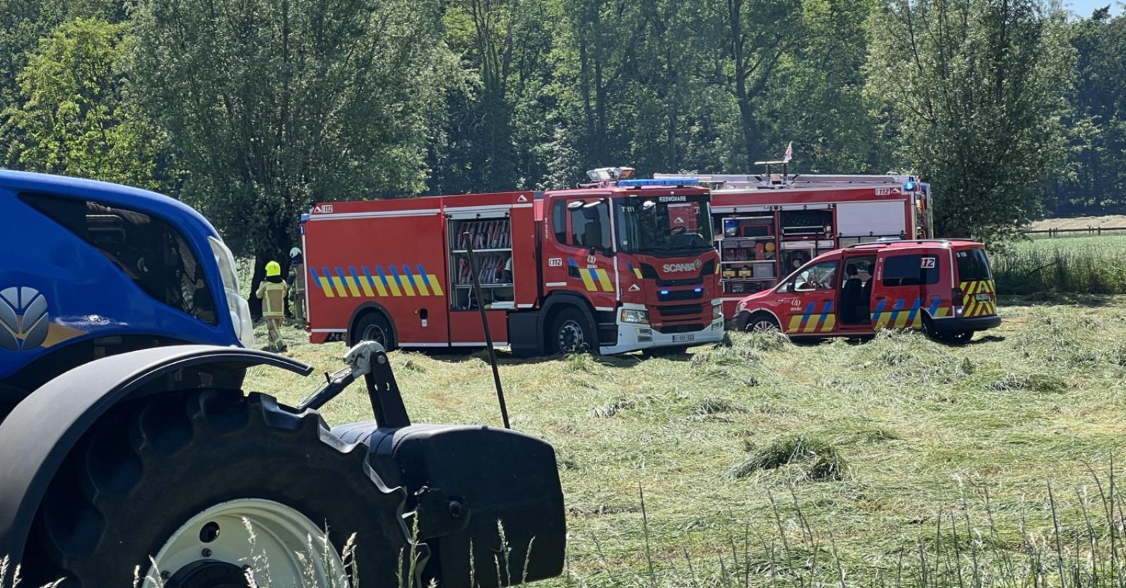 Brandweer blust brandende boom op stuk grasland in Torhout - KW.be