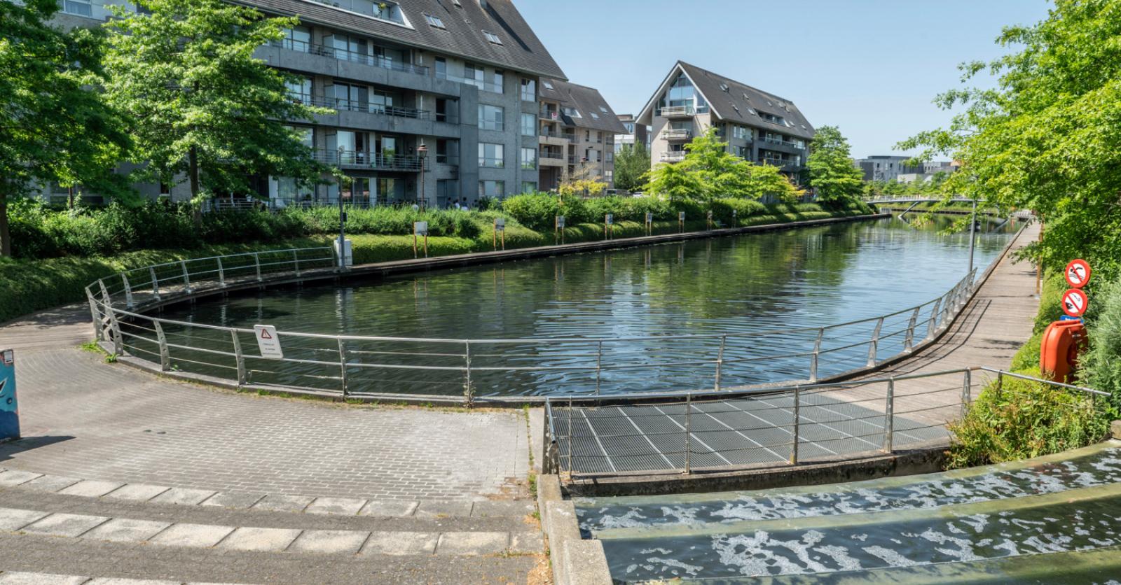 Geurhinder in de omgeving van de Kleine Bassin: “Tijdelijk fenomeen ...