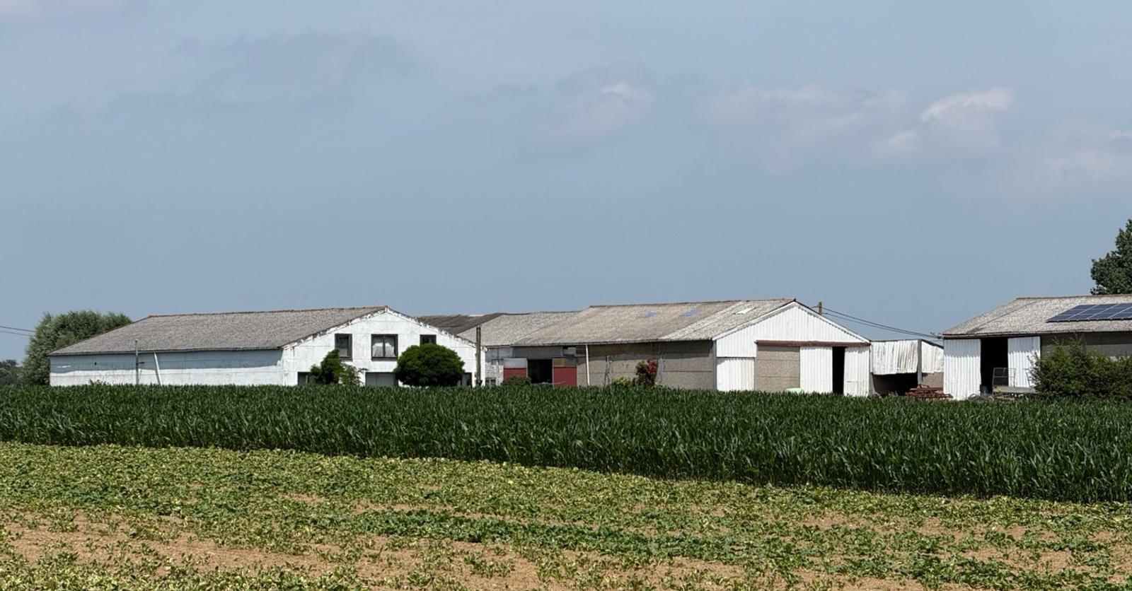 Drugslabo opgerold in hoeve bij abdij Westvleteren: “Er werden tal van ...