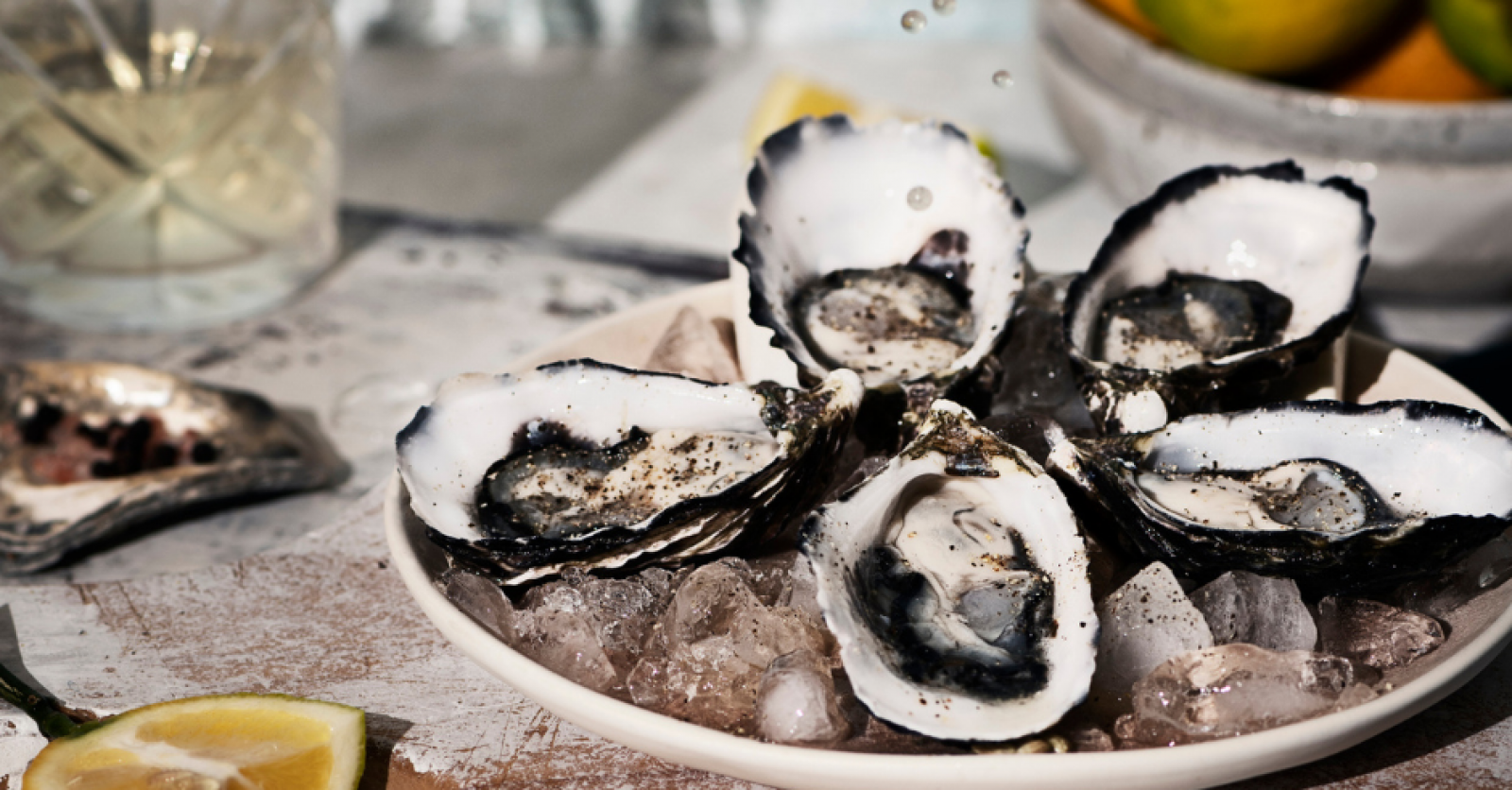 Van zeeën vol oesters naar lege bodems: de Europese oester doet het ...