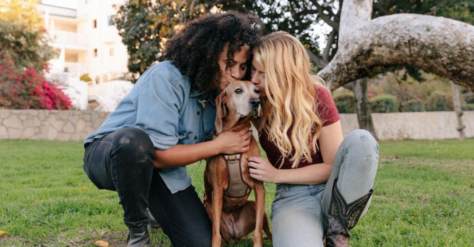 WEEKENDTIP: ga daten met je hond tijdens Date My Dog