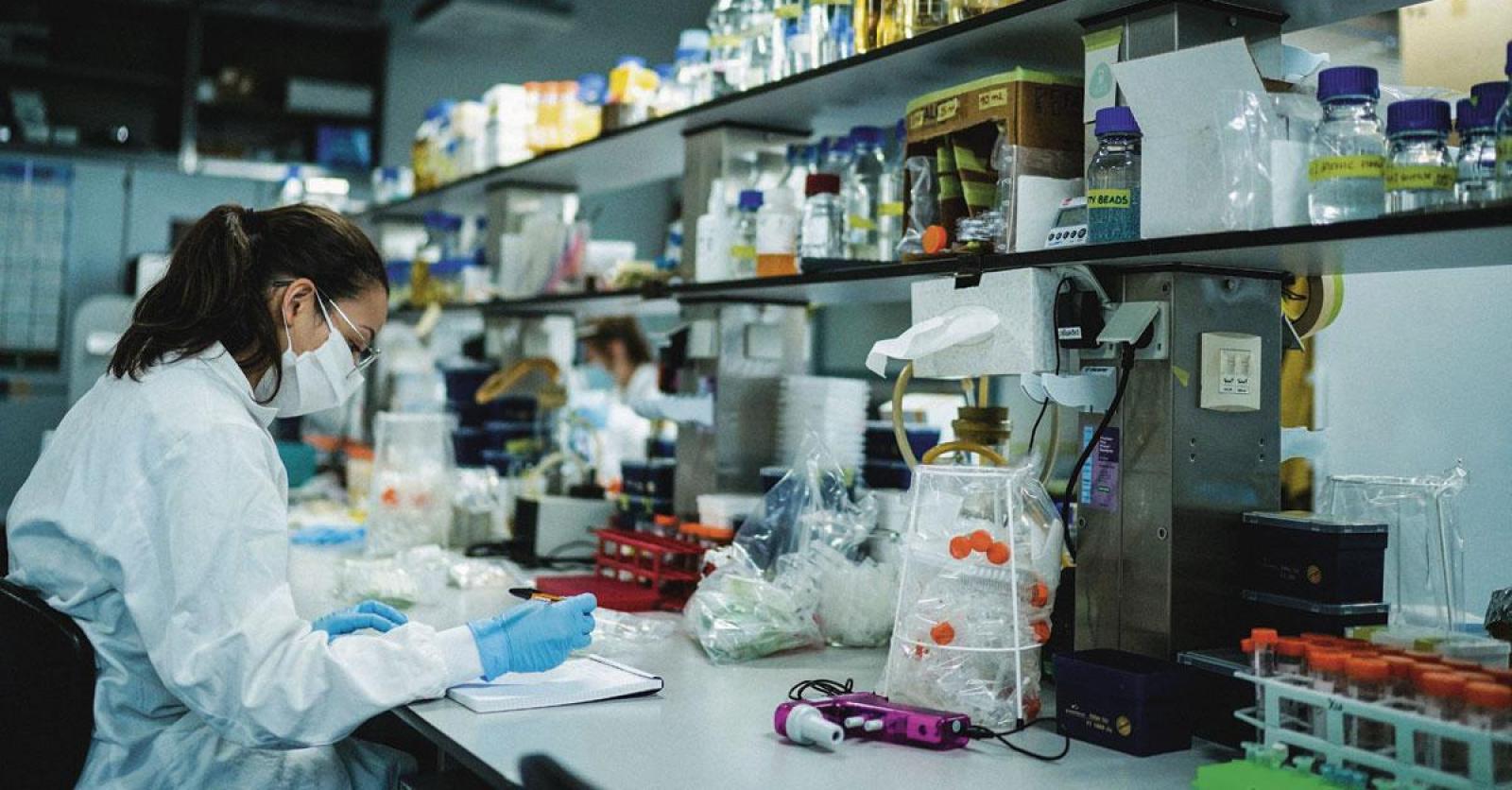 Biotech in Vlaanderen: 'Het nut van lama-antistoffen voor de mens ...