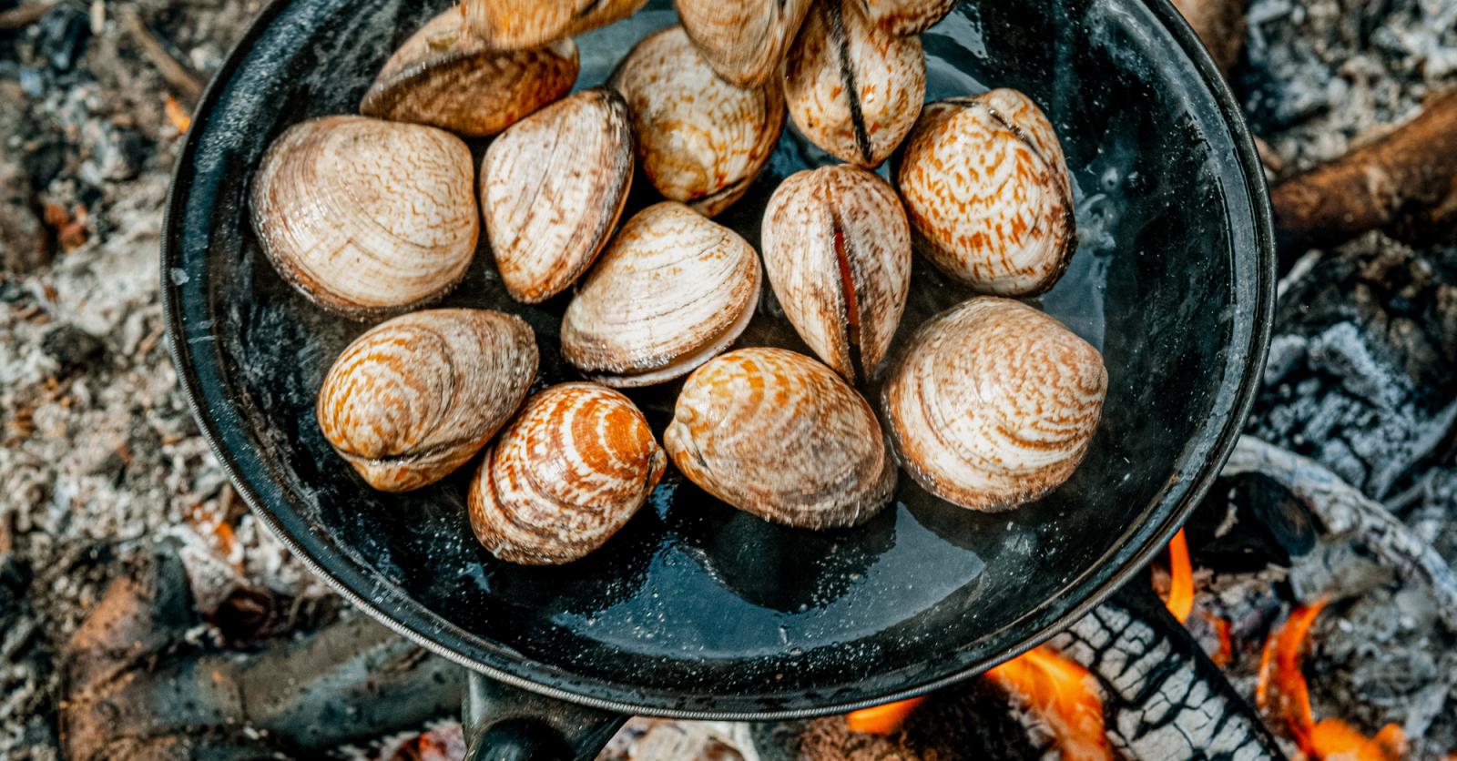 Brugge vernieuwt culinair festival Kookeet