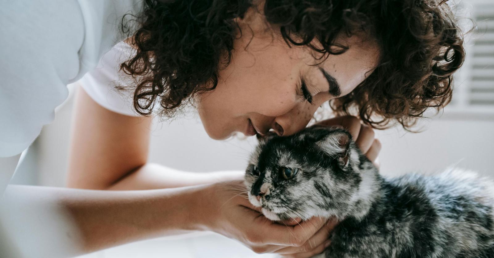 Cat lady zonder kat: dit herken je sowieso