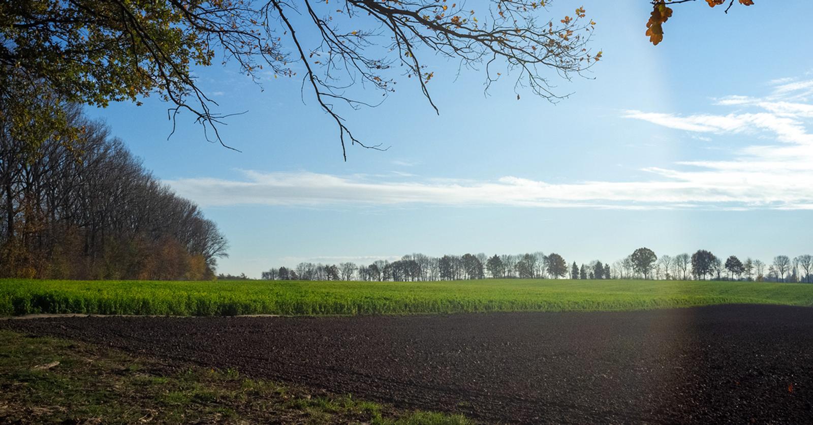 Landbouwgronden: gemiddelde prijs stijgt licht, oppervlakte daalt ...