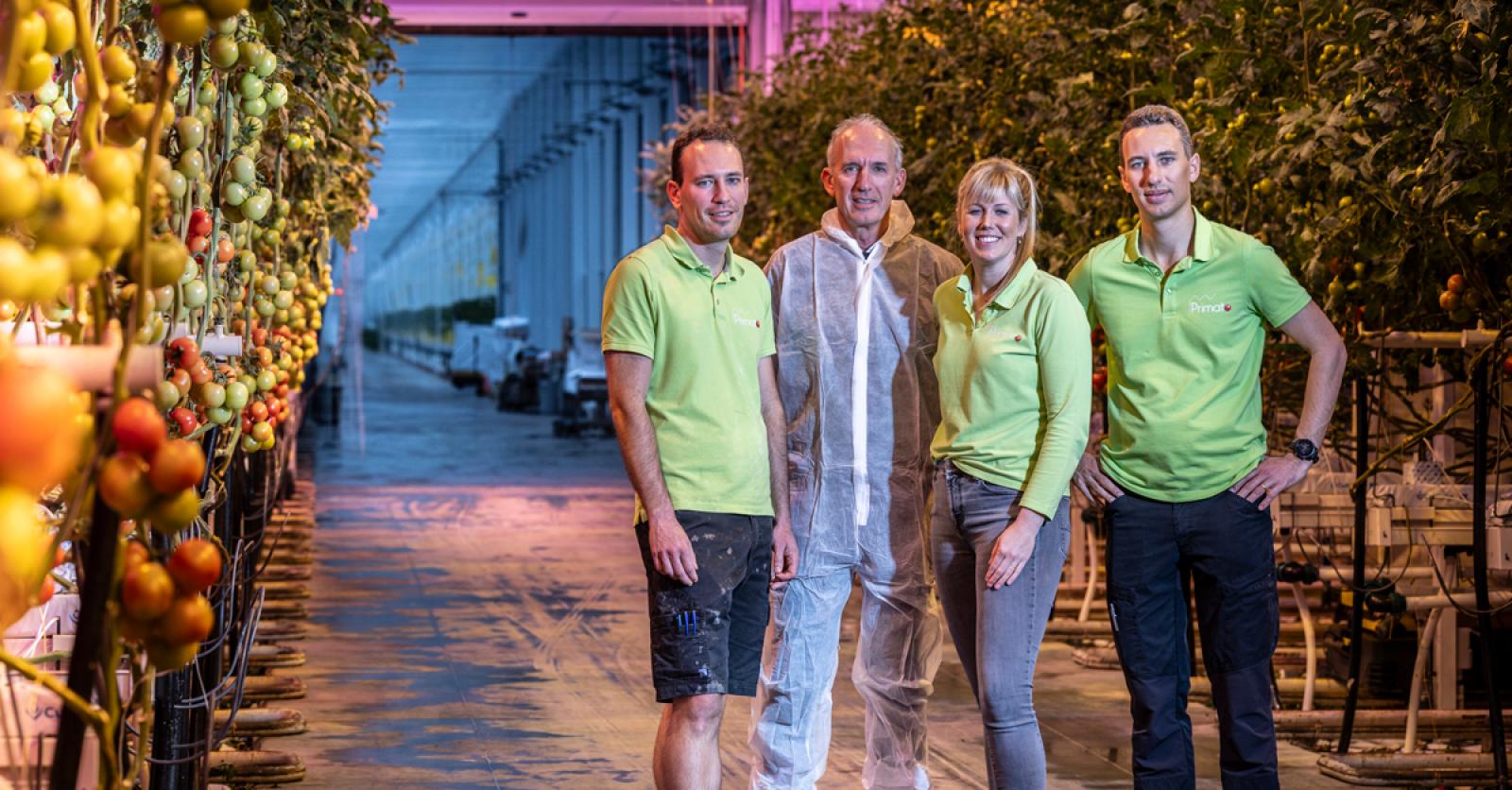 Primato uit Putte is een rendabele topspeler in tomatenteelt: 'Wij ...