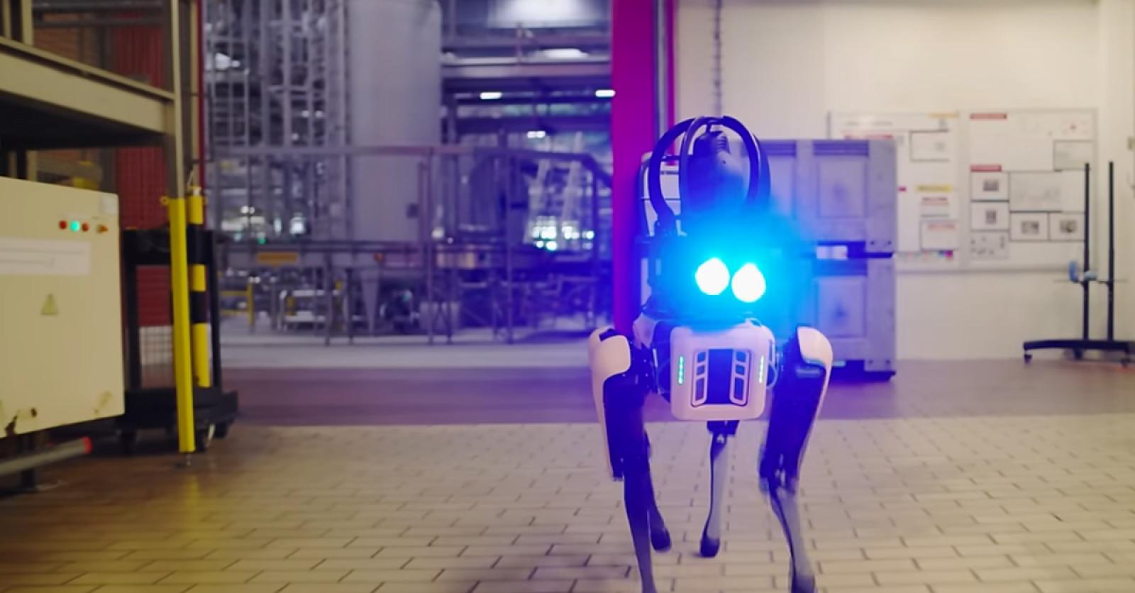 BEKIJK - Robothond inspecteert AB InBev-brouwerij in Leuven