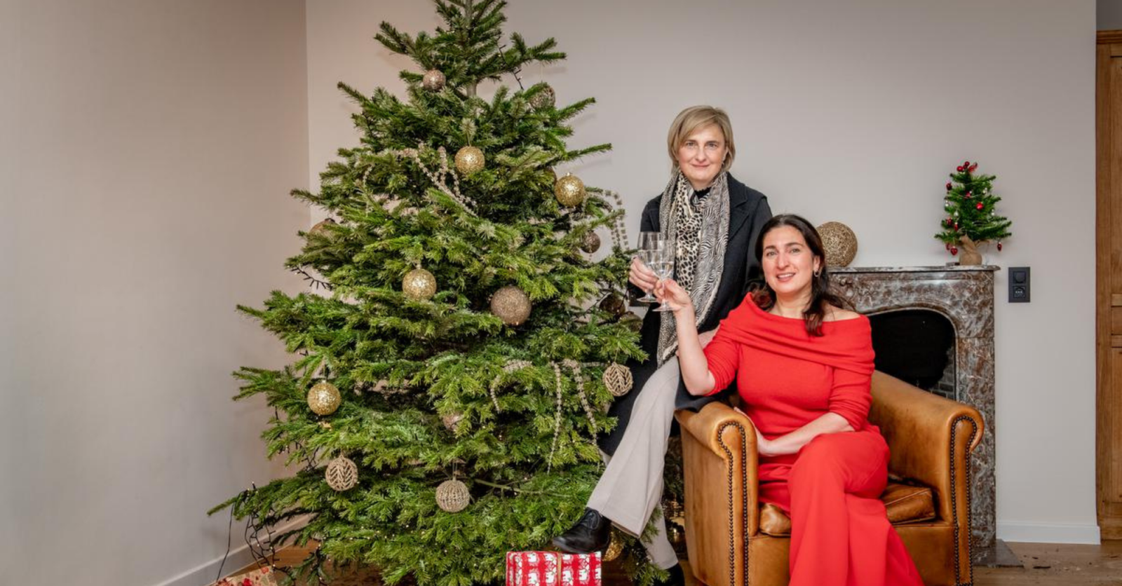 Crevits & Demir: 'Had Eva De Bleeker ook ontslag moeten nemen als zij ...