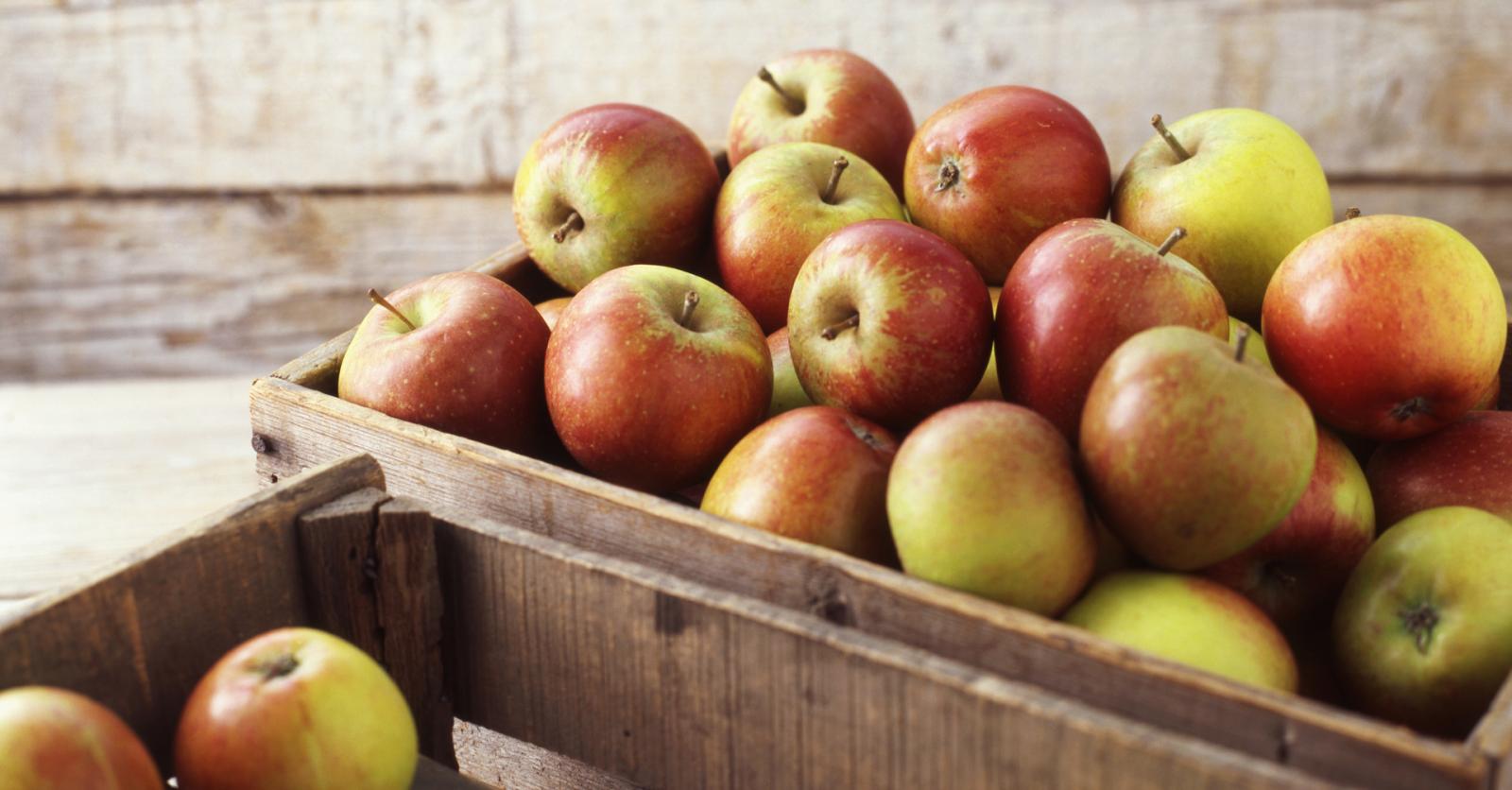 One apple a day: 51 recepten met appel