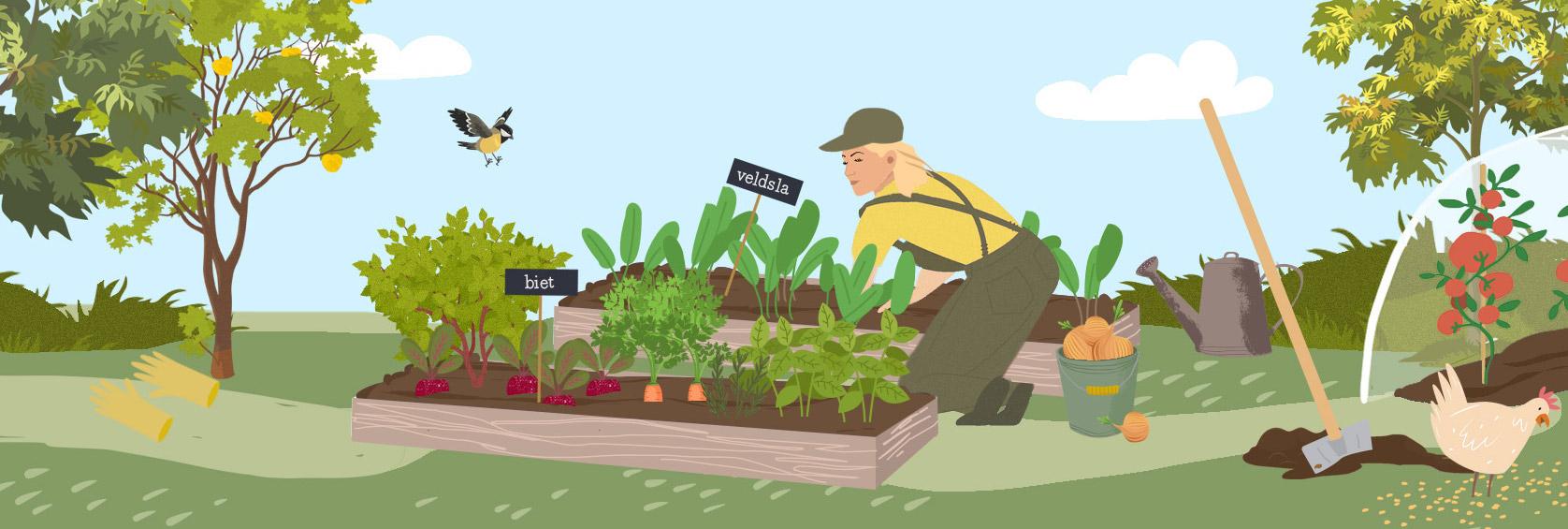 Leer moestuinieren met Libelle’s online cursus! - Libelle