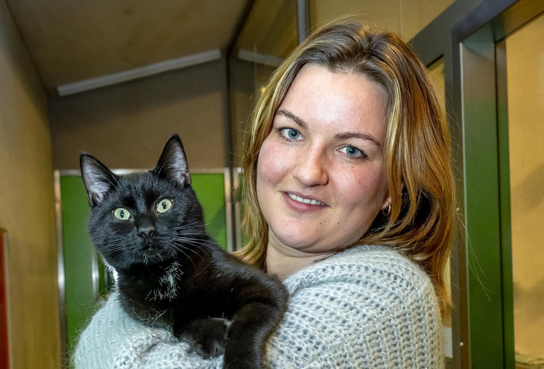 Met dank aan bijgeloof: dierenasielen raken zwarte katten moeilijker ...