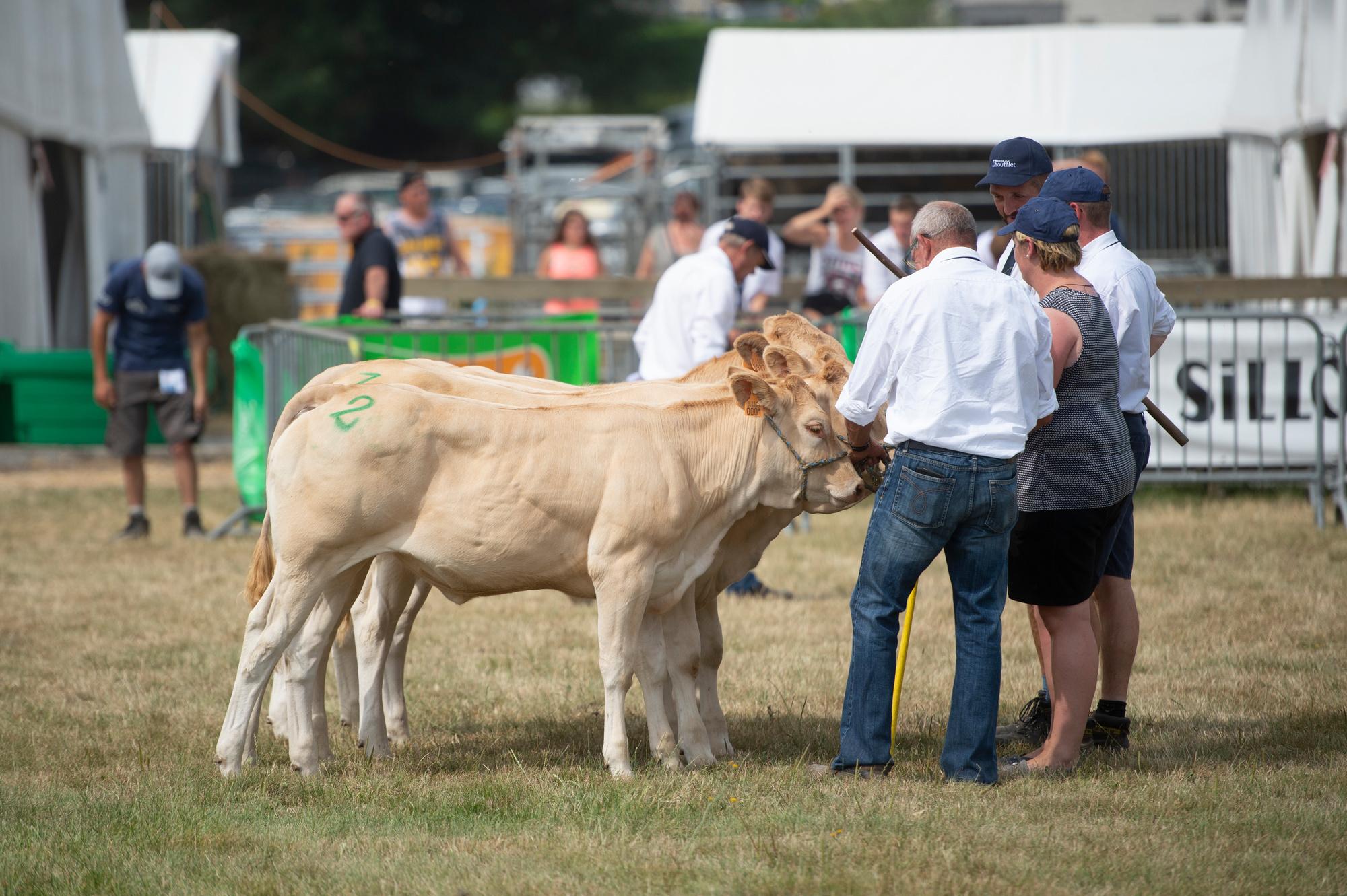 Foire agricole de Libramont: Les marques, labels et filières foisonnent ...