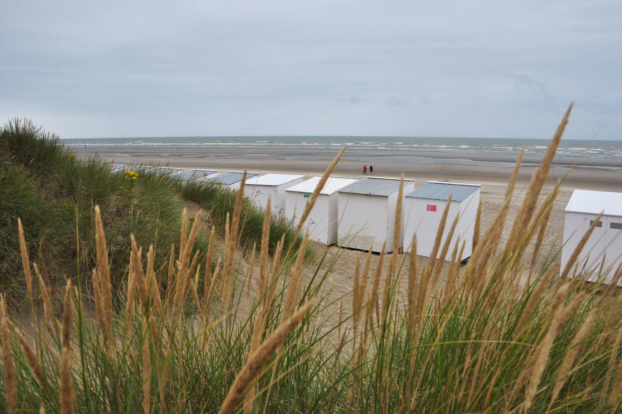 Coxyde refuse actuellement d'accueillir des demandeurs d'asile sur sa ...