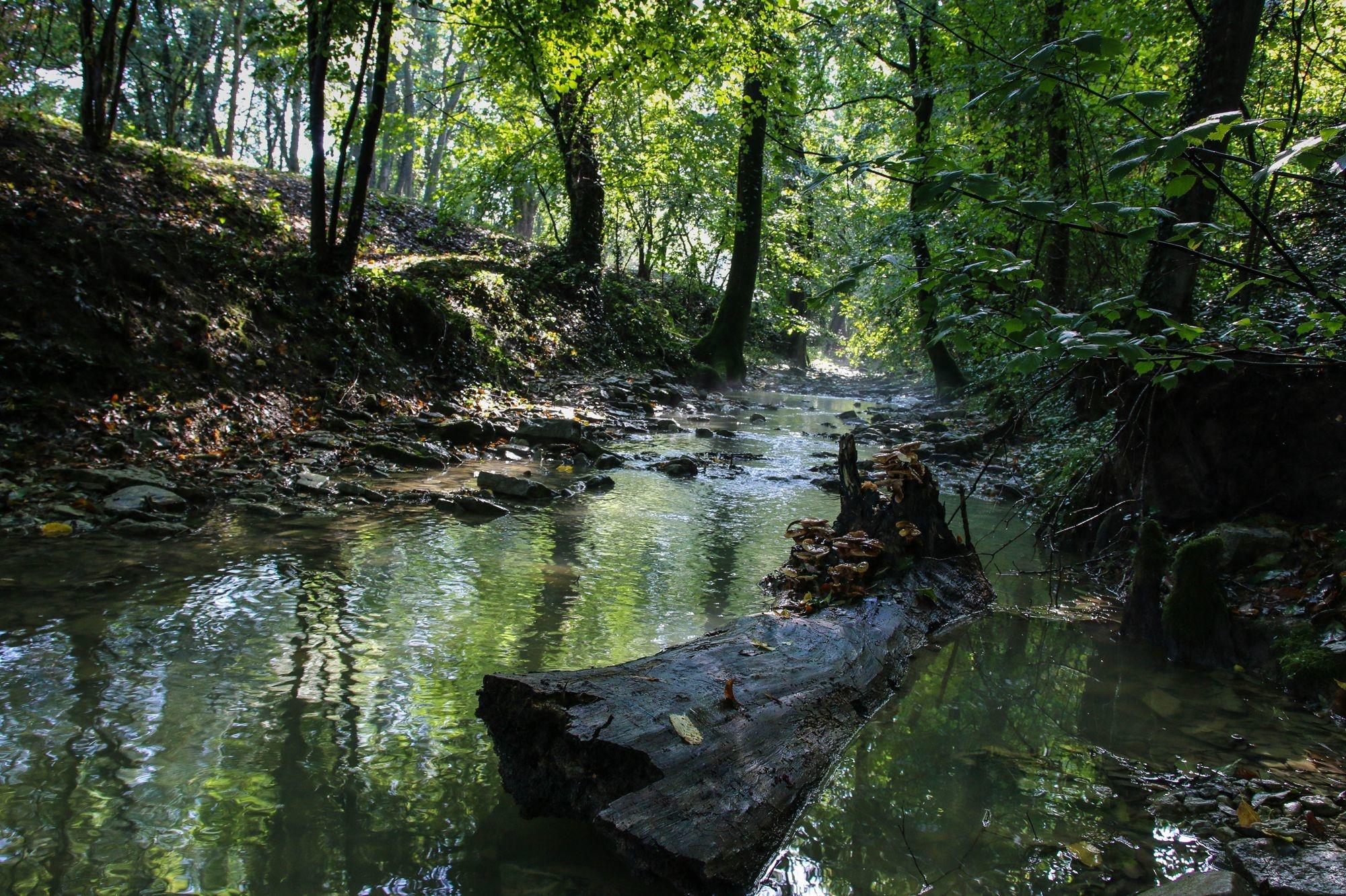 Quatre vingts sept Pourcent Des Cours D eau Flamands Sont De Mauvaise quatre-vingts-sept-pourcent-des-cours-d-eau-flamands-sont-de-mauvaise