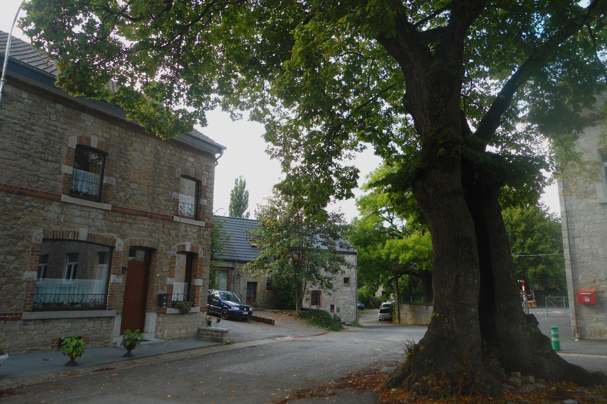 My, 31e plus beau village de Wallonie