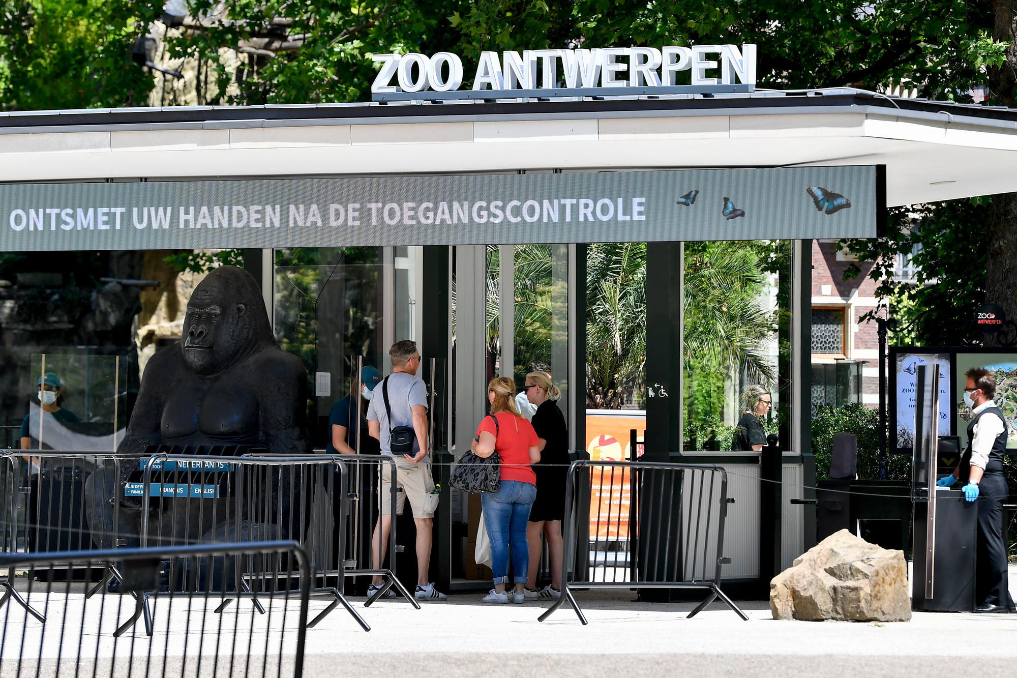 Covid: le zoo d'Anvers prêt à accueillir des milliers d'enfants pour la ...