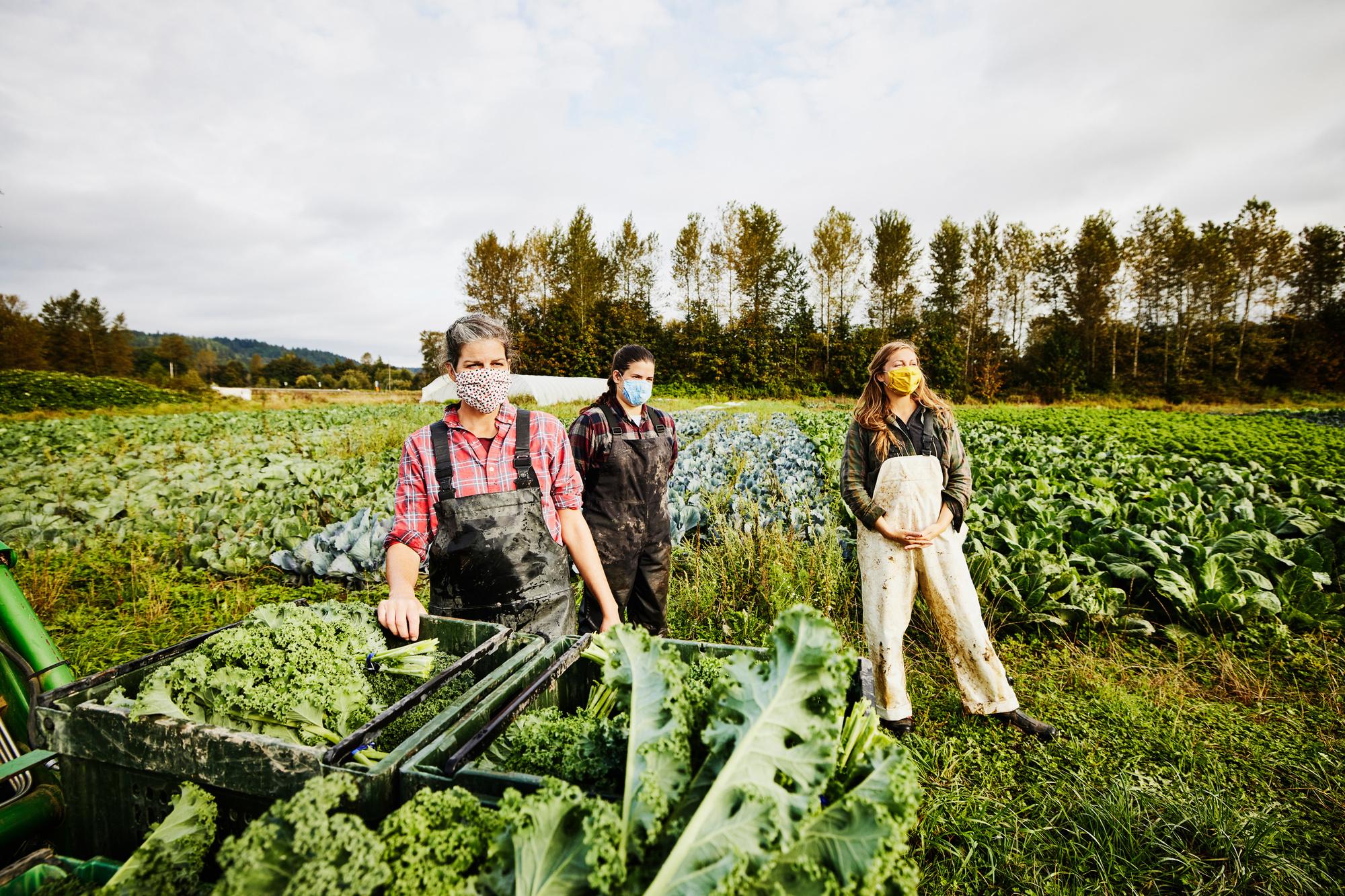 'Meer, sneller, goedkoper: onze boeren zijn het beu en haken af'