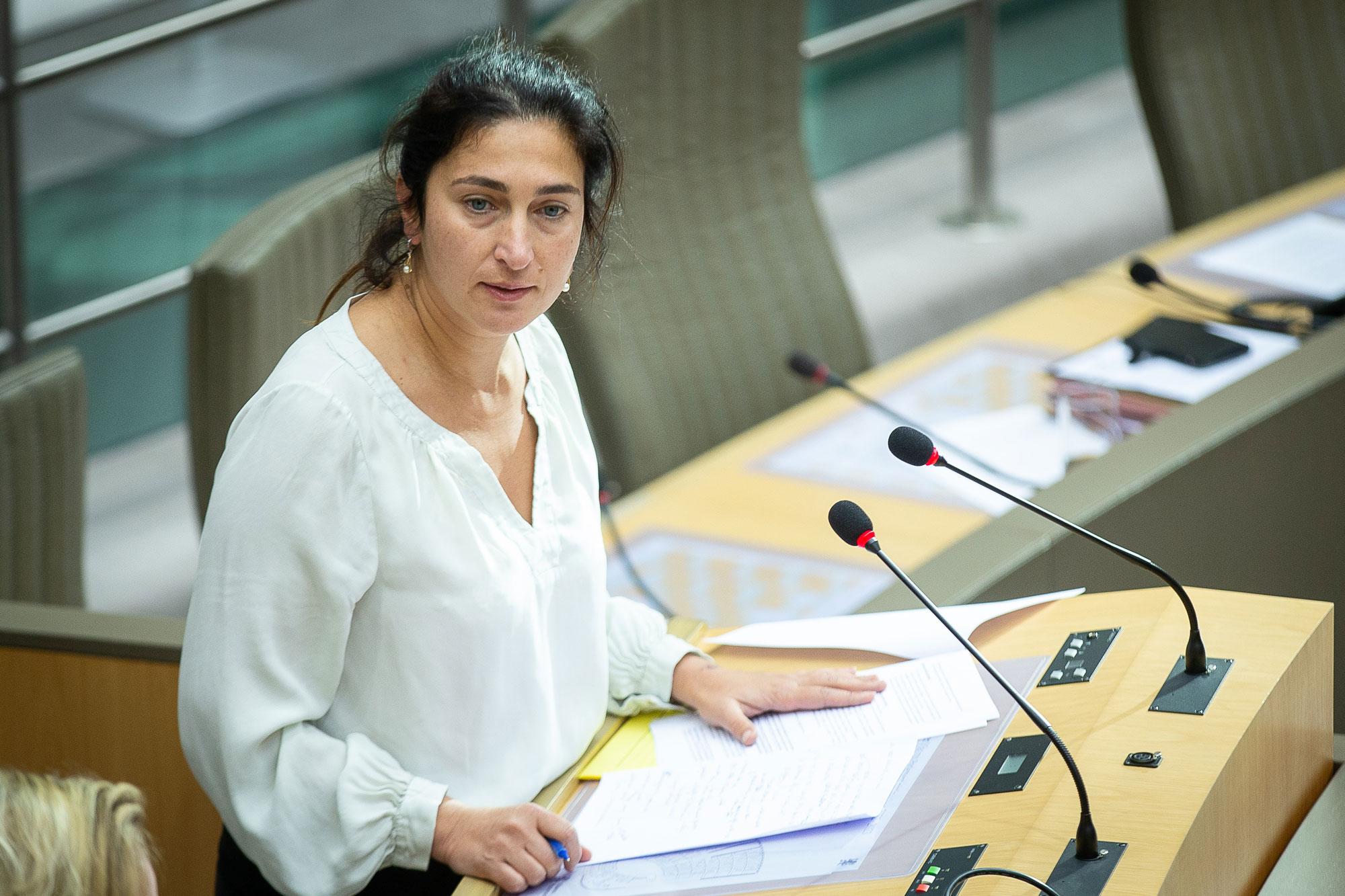 Demir schaft vergunningsplicht voor ontharding af