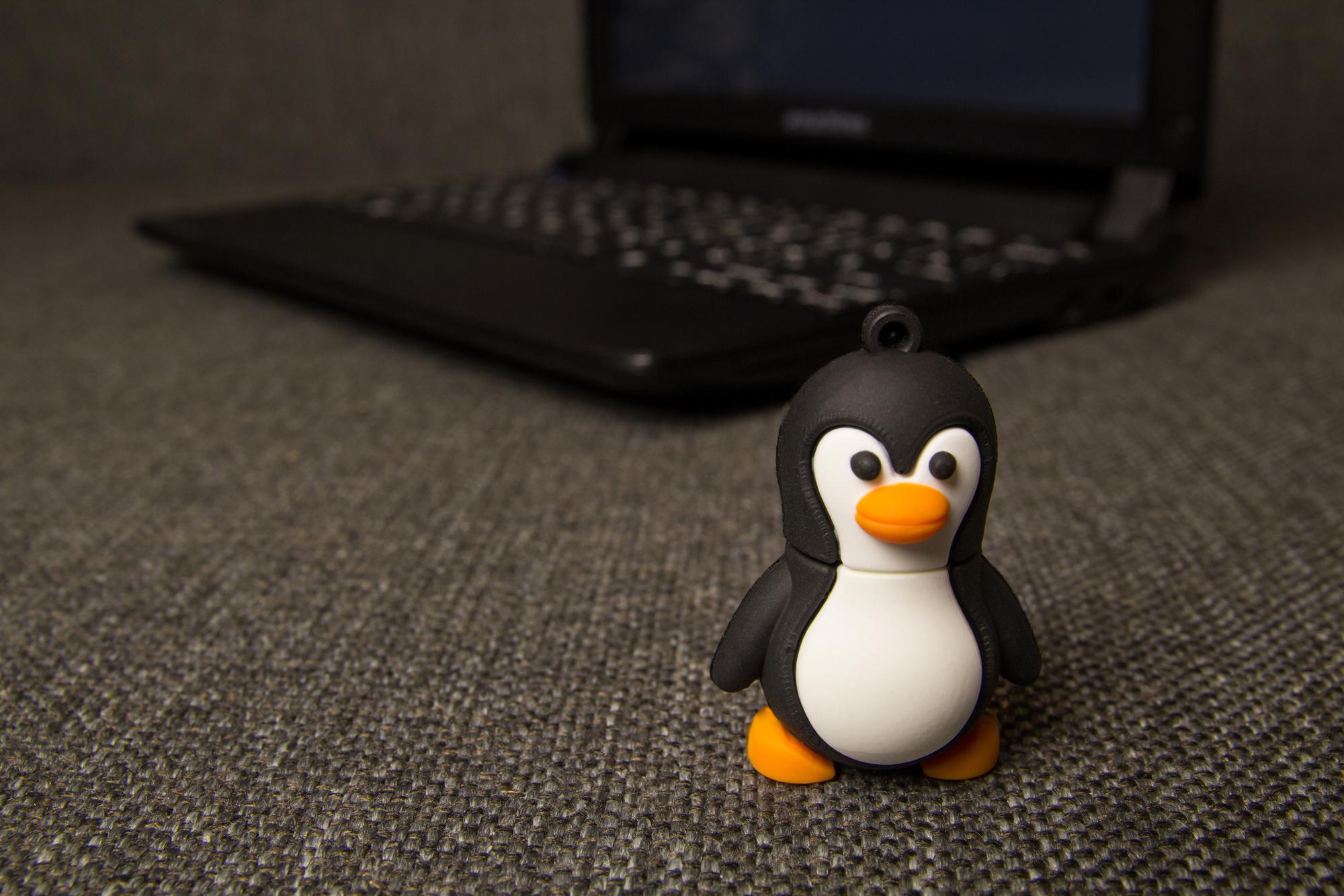 Le pingouin de Linux va réapparaître dans l'Explorateur Windows ...