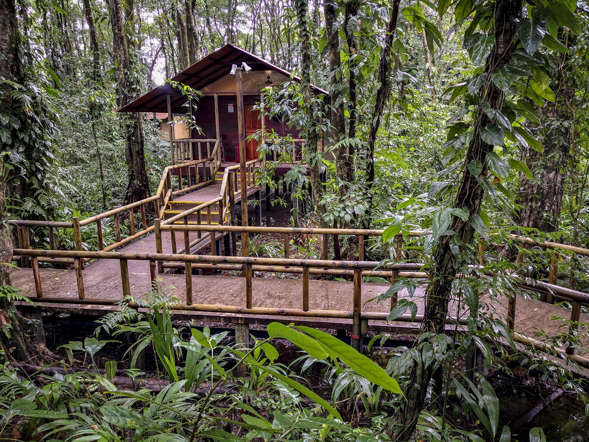 Ces cabanes vitrées perchées dans les arbres vont vous faire rêver