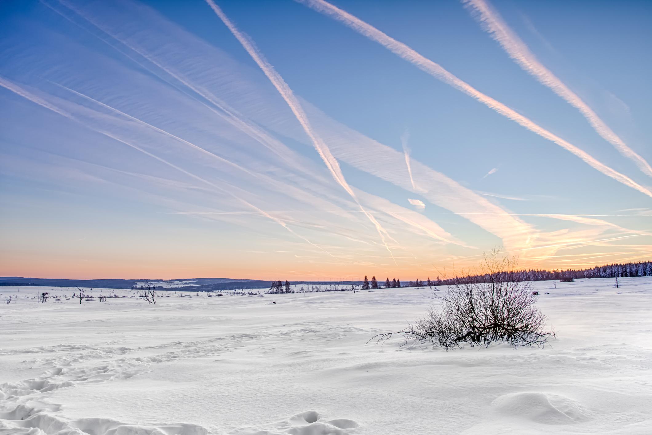 MÉTÉO: il va neiger ce week-end, 10cm attendus dans les Fagnes