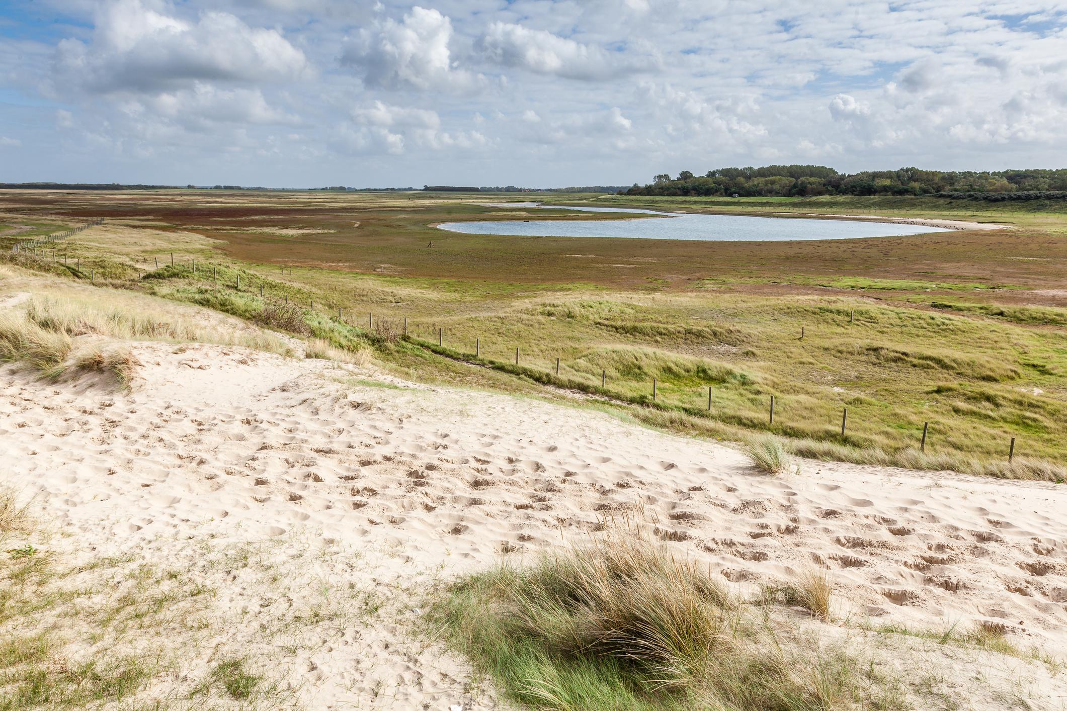 5x winterse activiteiten in Zwin Natuur Park - Libelle