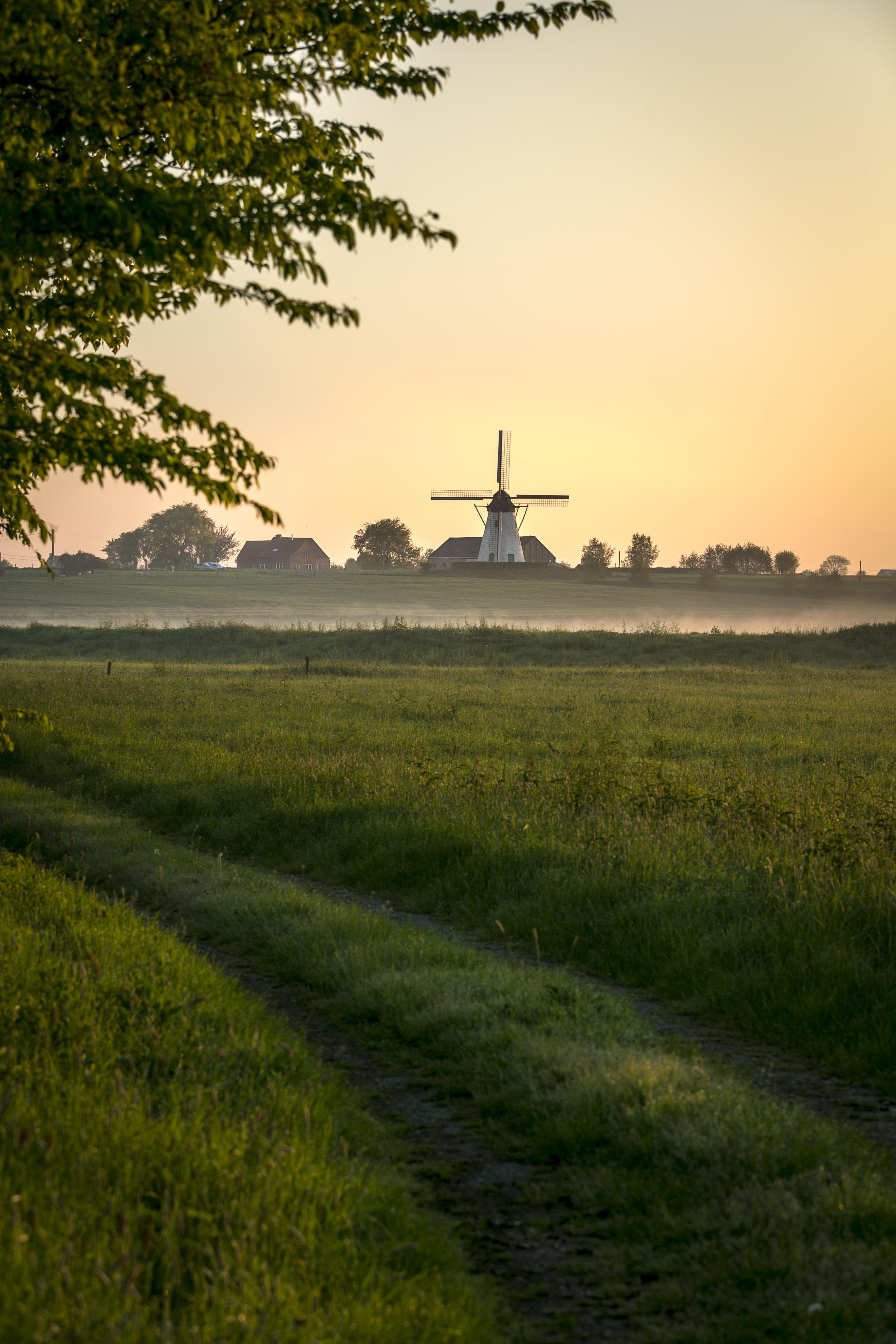 Wandeling in West-Vlaanderen: De Brouckmolen - Libelle