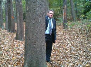 Karmelbos in Waregem opent in voorjaar 2014 - KW.be