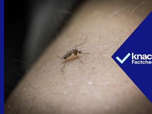 Factcheck: nee, huidkanker voorkom je niet door de zon (Knack)
