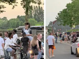 Erkenning voor dierenopvangcentrum De Zonnegloed in zicht: “Hoe sneller ...