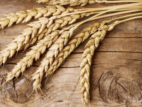 De beste baktips van Julie, winnares van Bake Off Vlaanderen - Libelle ...