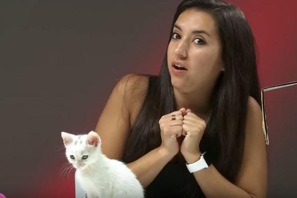 Dit gebeurt er als mensen die katten haten een kitten ontmoeten!