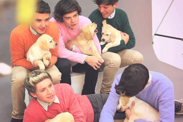 14x Sexy guys met puppies