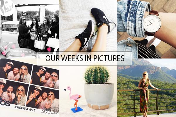 Our week in Pictures!