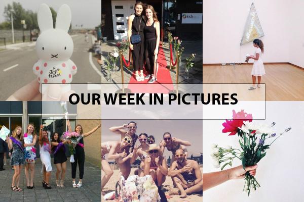 Our Week in Pictures!