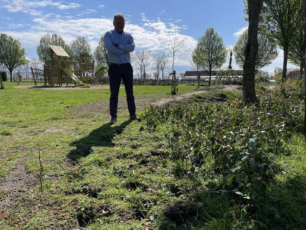Dieven aan de haal met openbare beplanting in Oudenburg - KW.be