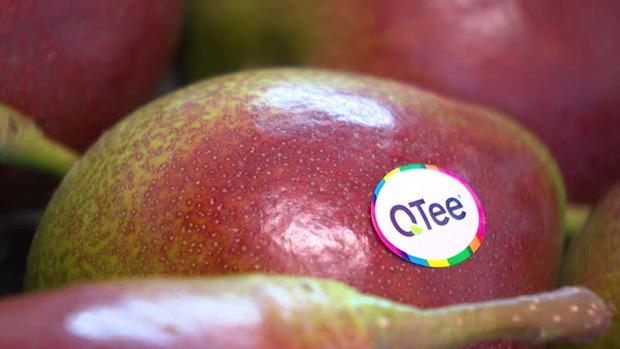 QTee-peer kan monocultuur Conférence doorbreken - Trends Kanaal Z