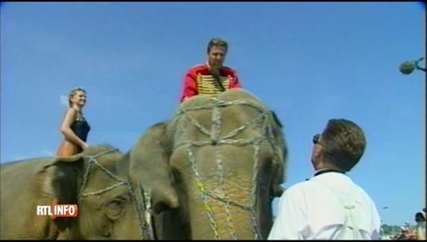 Le Bêtisier Des Animaux Cest Ce Soir Sur Rtl Tvi