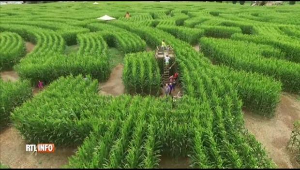Le labyrinthe de Durbuy fête son 20ième anniversaire