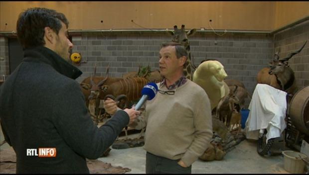 Quelles sont les 5 étapes pour empailler un animal?