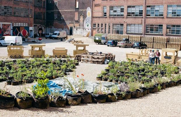 "Le citadin veut se réapproprier son alimentation et se reconnecter"