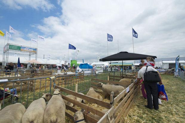 Libramont lance la 80e édition de sa foire agricole