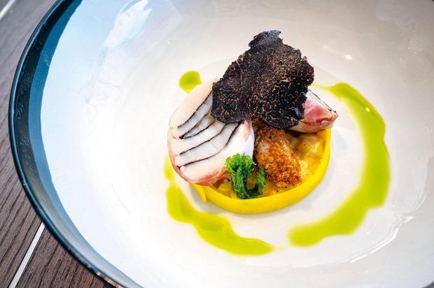 Nouveau départ pour Maxime Collard - Trends-Tendances