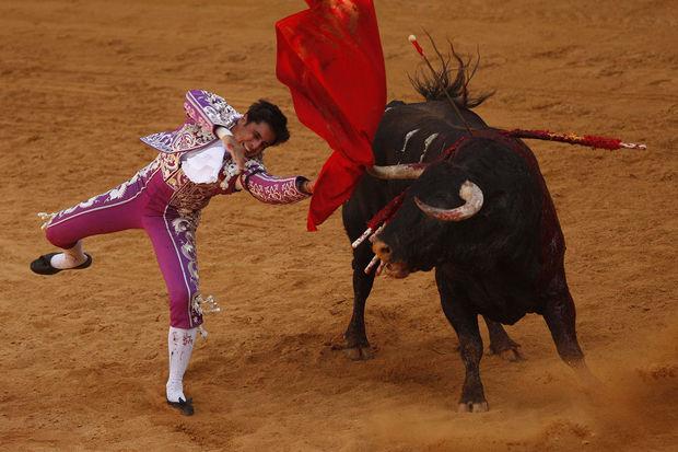 Quand les taureaux gagnent la corrida