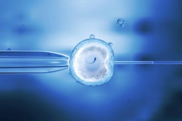 Des ovules humains cultivés en laboratoire pour la première fois