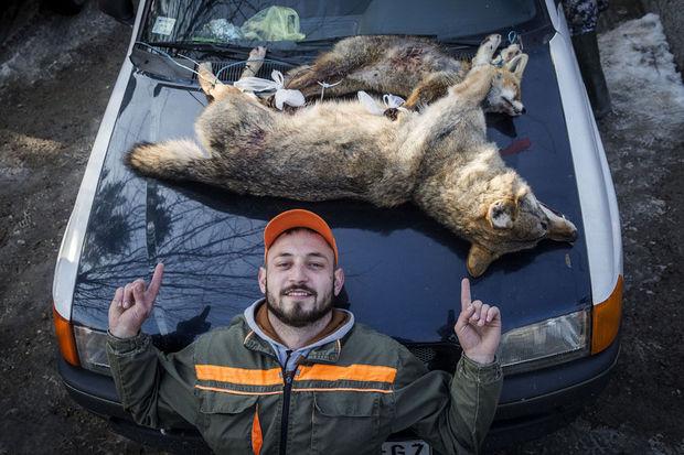 A la chasse au loup en Serbie