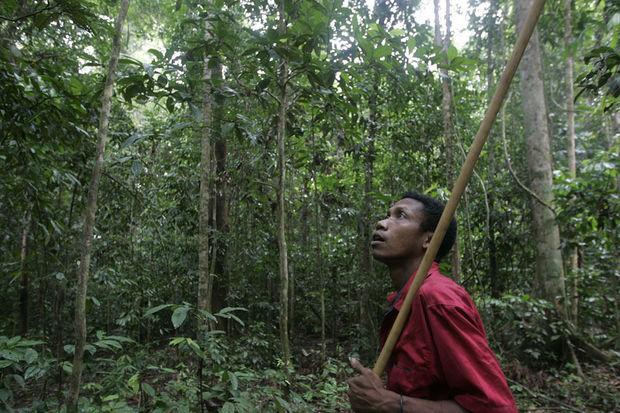 Découverte d'une langue inconnue: le jedek